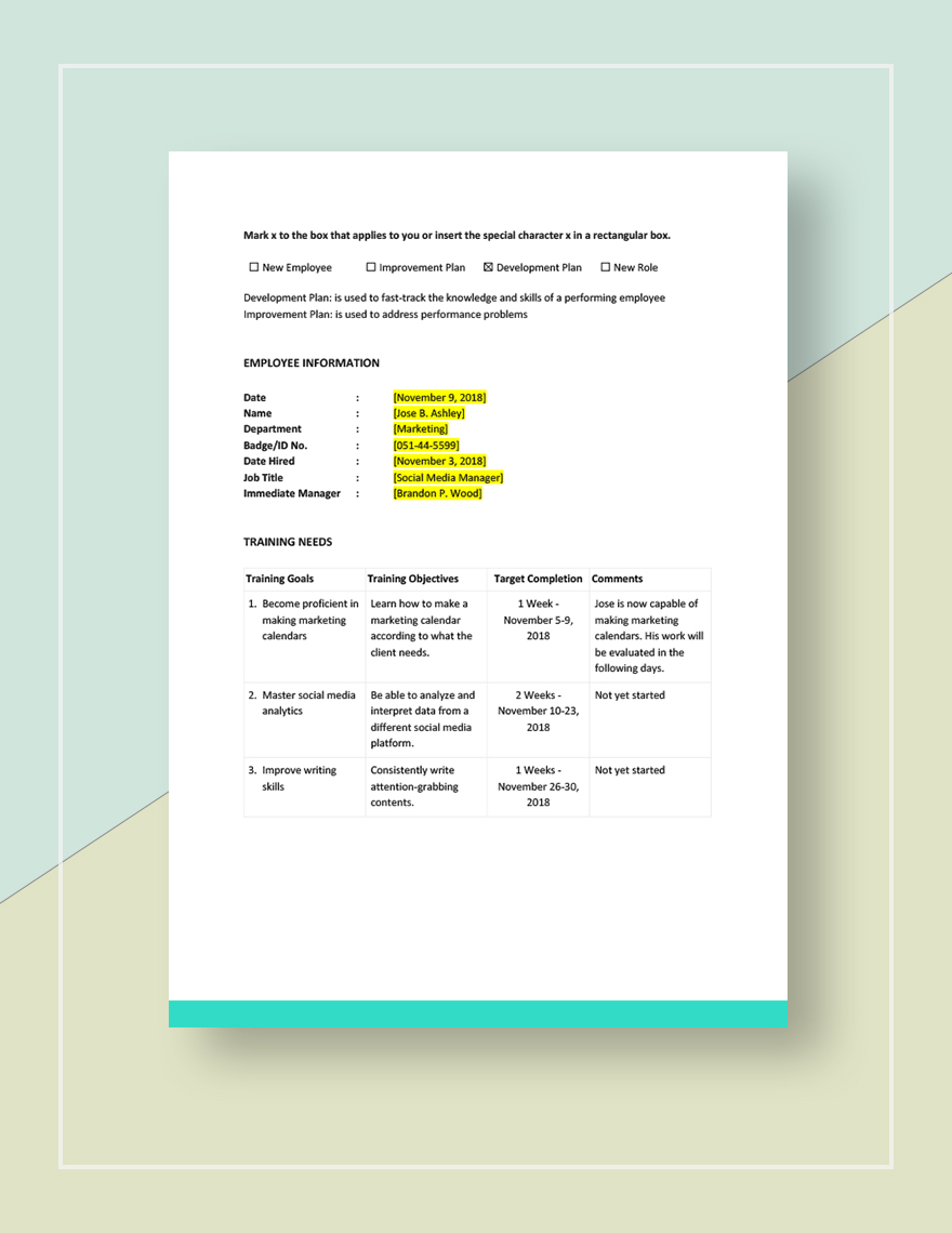 Skills Development Plan Template