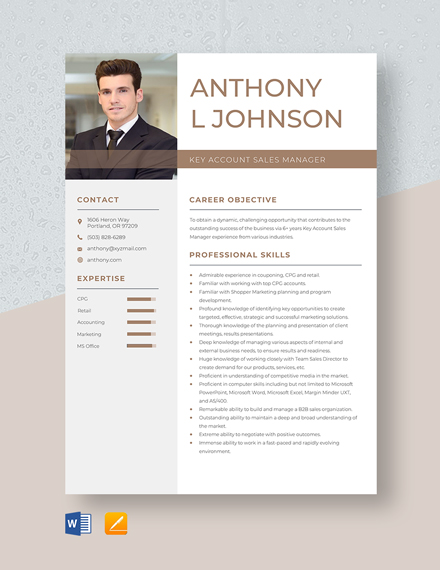 Free Key Account Development Manager Resume - Download in Word, Apple ...