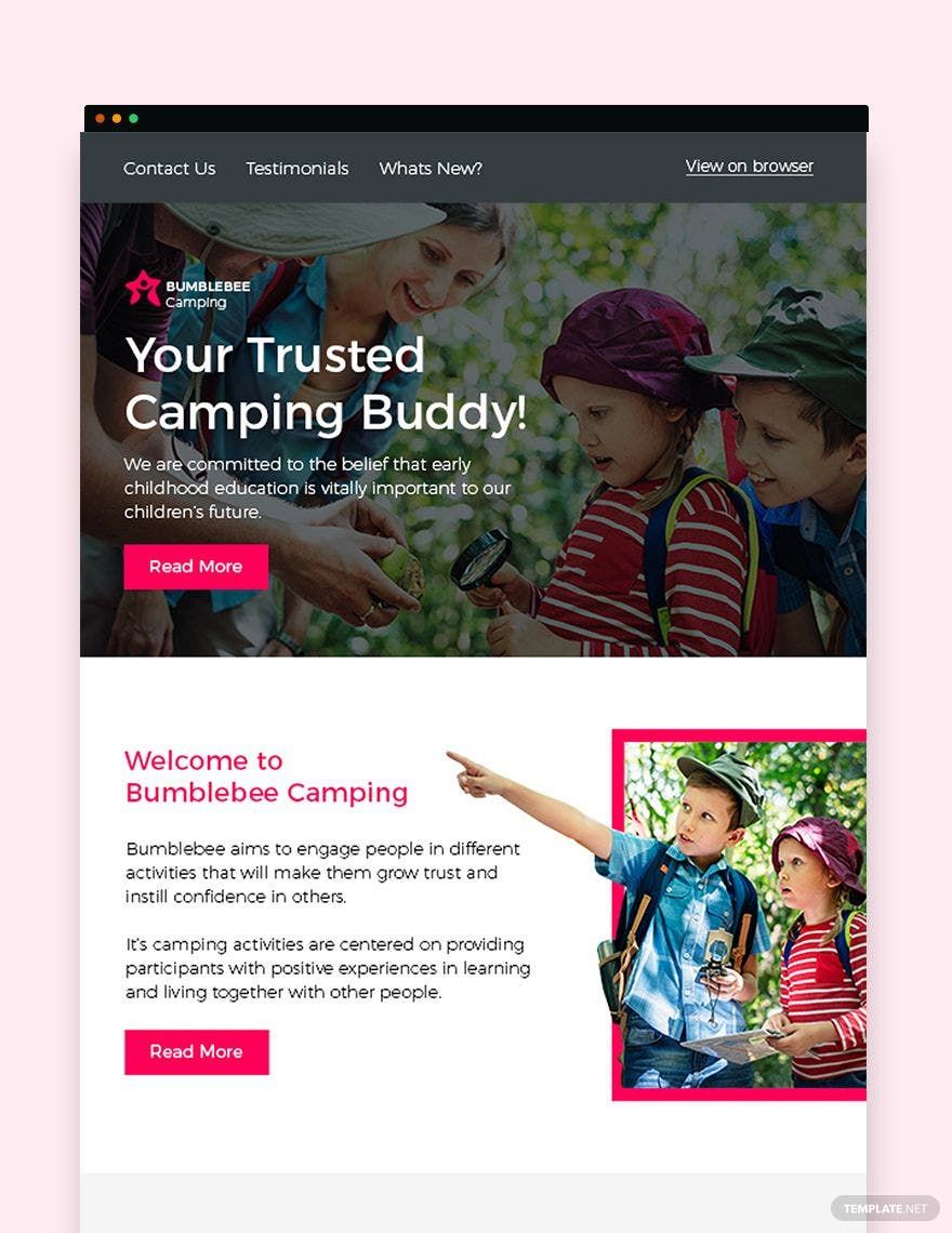 Free Camp Newsletter Template Download In PSD Outlook HTML5 