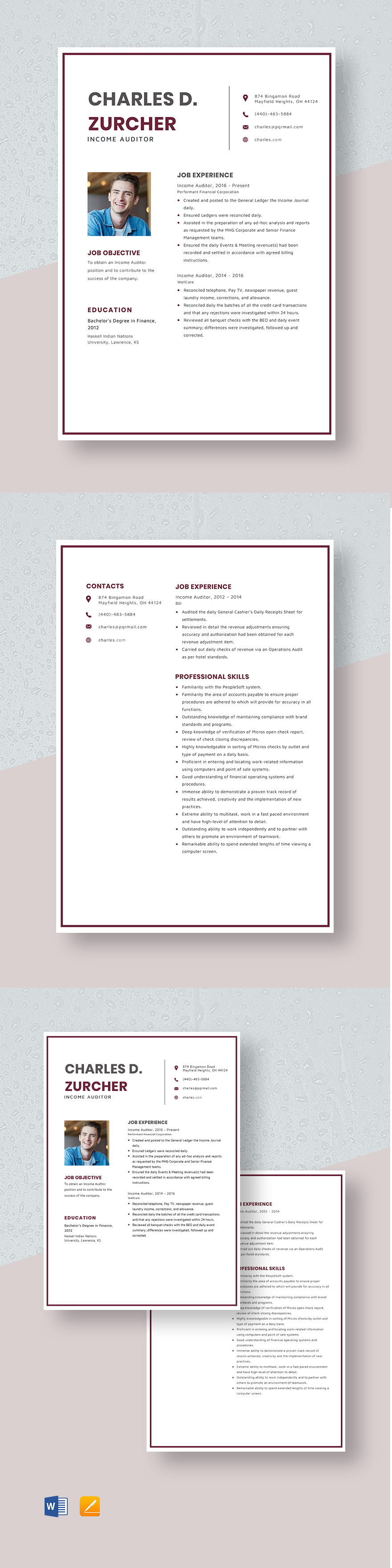 Free Income Auditor Resume Template - Word, Apple Pages | Template.net
