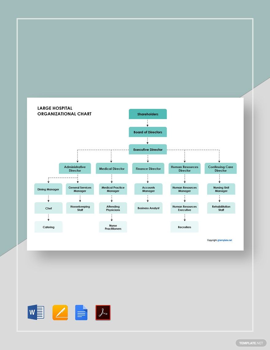 Large Hospital Organizational Chart Template Google Docs Word Apple 