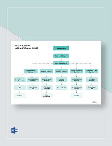 Free Hospital Administrative Organizational Chart Template - Word ...