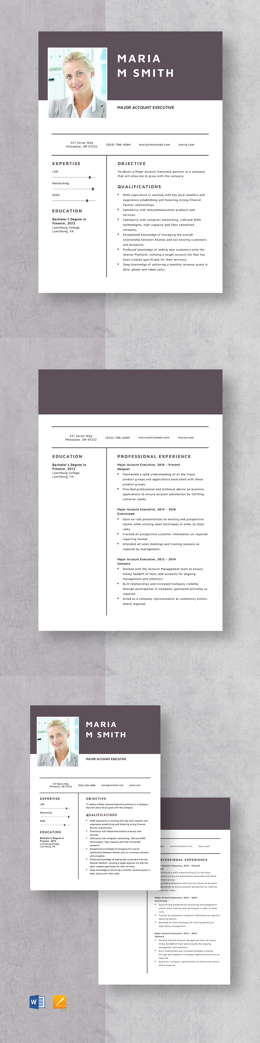Free Major Account Executive Resume Template - Word, Apple Pages ...