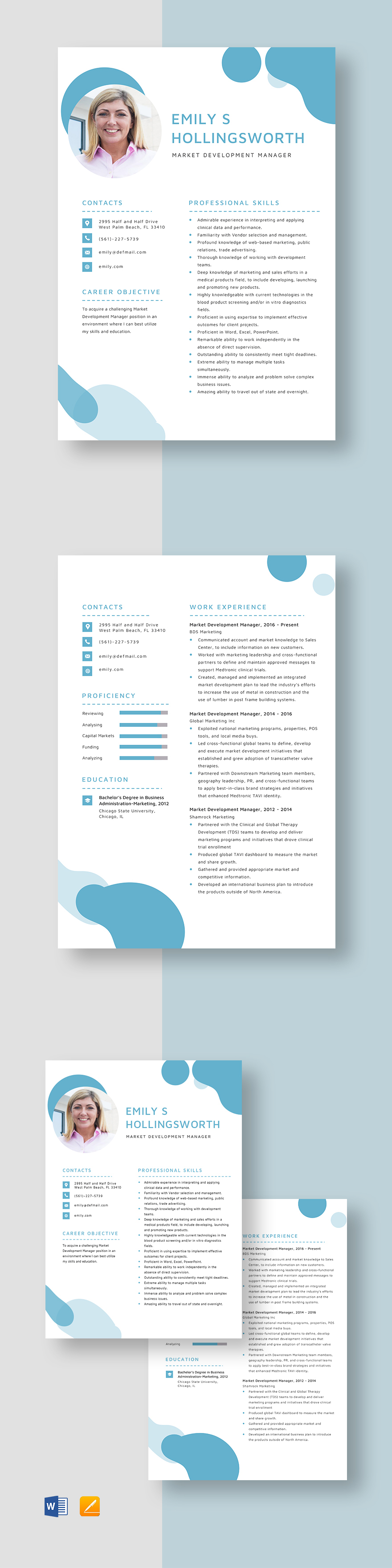 Free Market Development Manager Resume Template - Word, Apple Pages ...