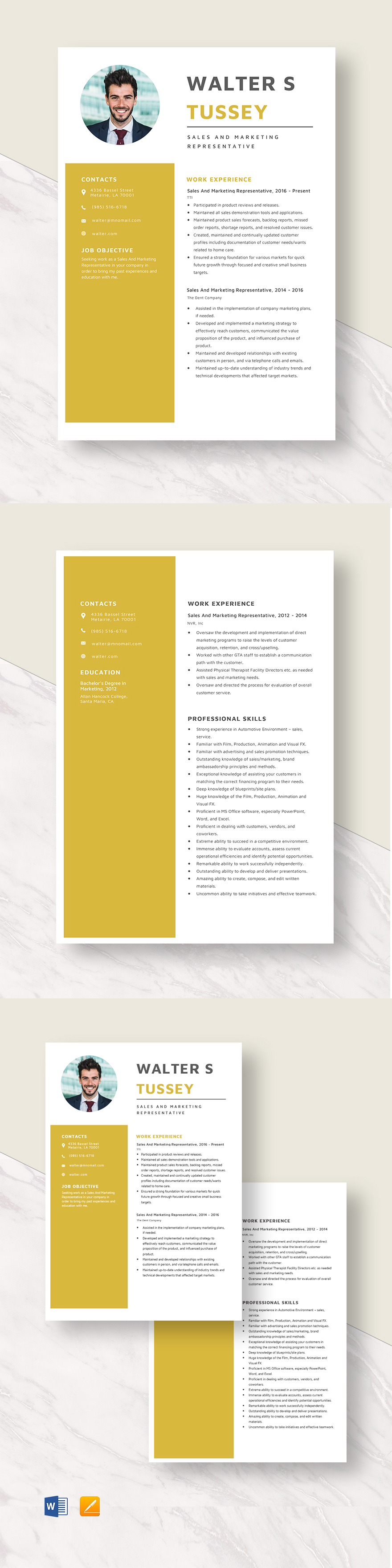Sales And Marketing Representative Resume Template - Word, Apple Pages ...
