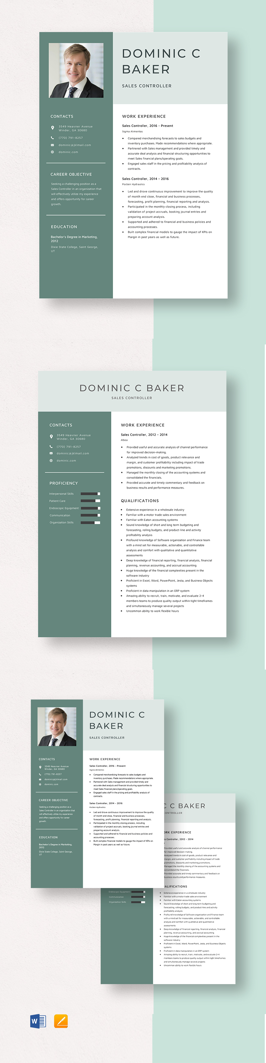 Automobile Production Controller Resume Template - InDesign, Word ...