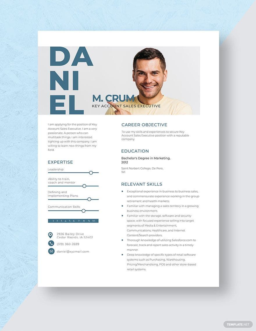 Free Key Account Sales Executive Resume Download In Word Apple Pages 
