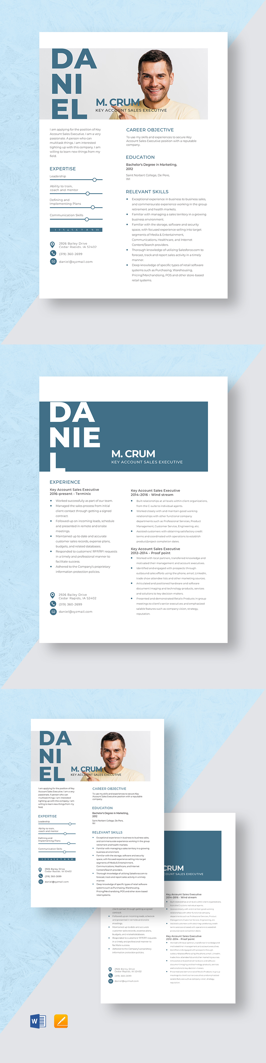 National Key Account Manager Resume Template - Word, Apple Pages ...