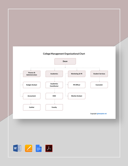 Download 18+ College Organizational Chart Templates - Word | Template.net