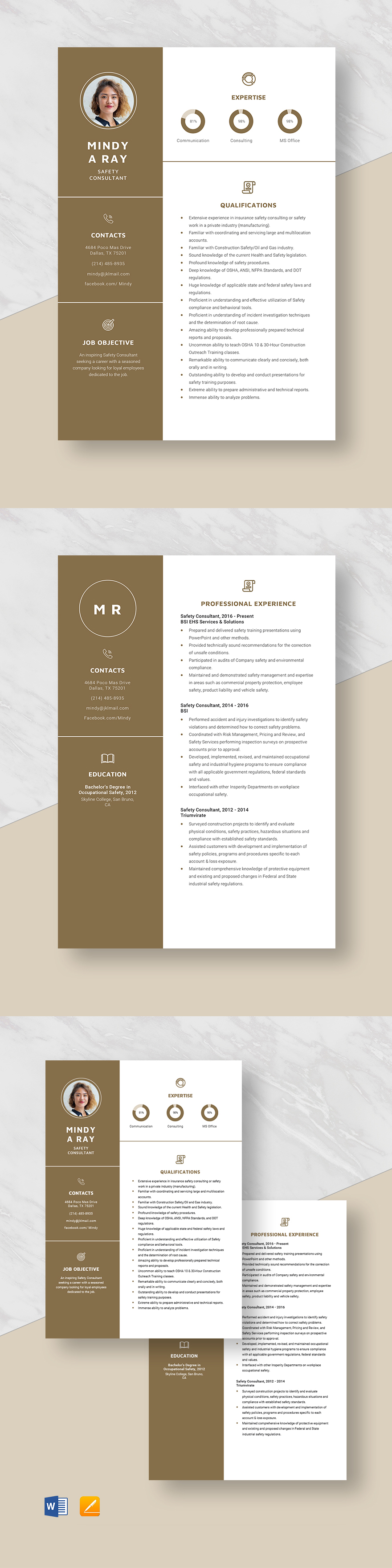 Health And Safety Consultant Resume Template - Word, Apple Pages ...