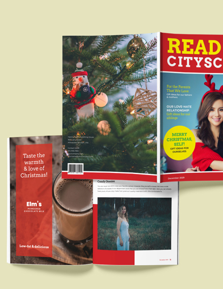 Magazine Christmas Covers For 2013