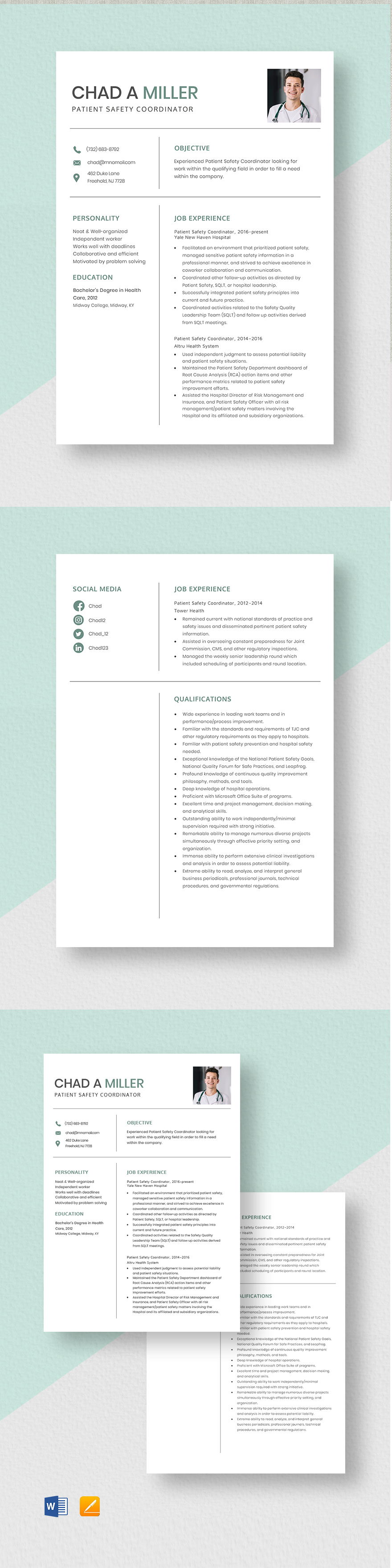 Free Patient Safety Coordinator Resume Template Word Apple Pages Free Patient Safety Coordinator Resume Template Word Apple Pages