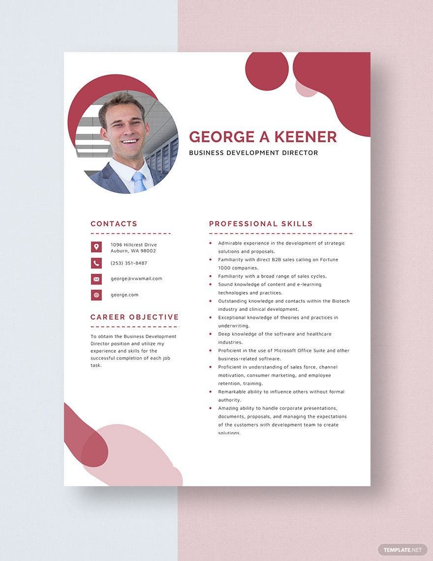 Business Development Director Resume Word Apple Pages Template