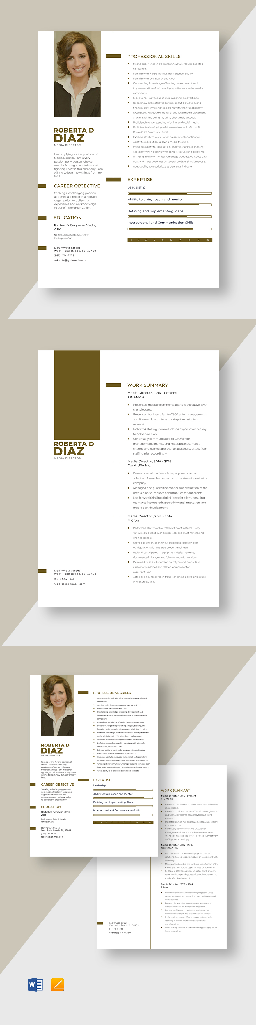 New Media Director Resume Template - Word, Apple Pages | Template.net