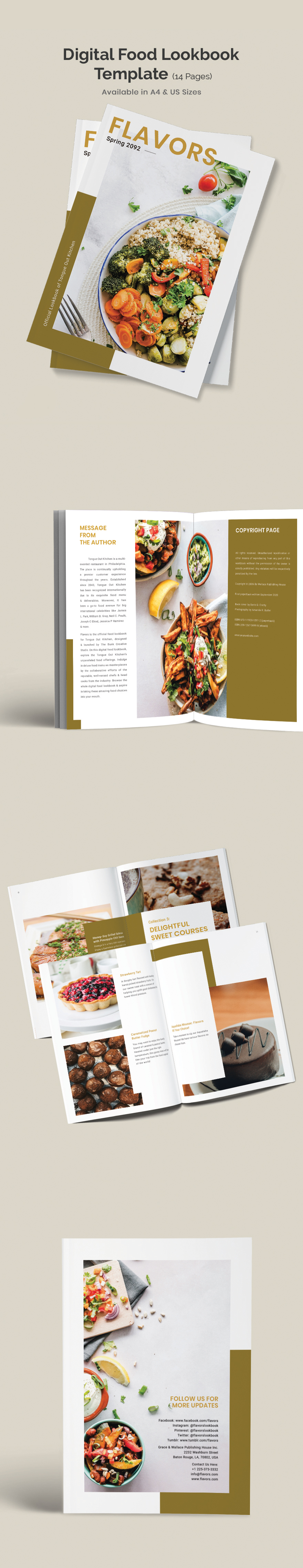 Branding Lookbook Template - InDesign, Word, Apple Pages, Publisher ...