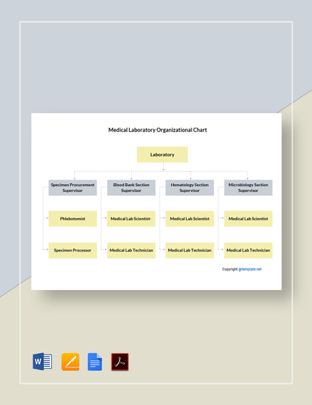 Medical Clinic Organizational Chart Template - PDF | Word | Apple Pages ...