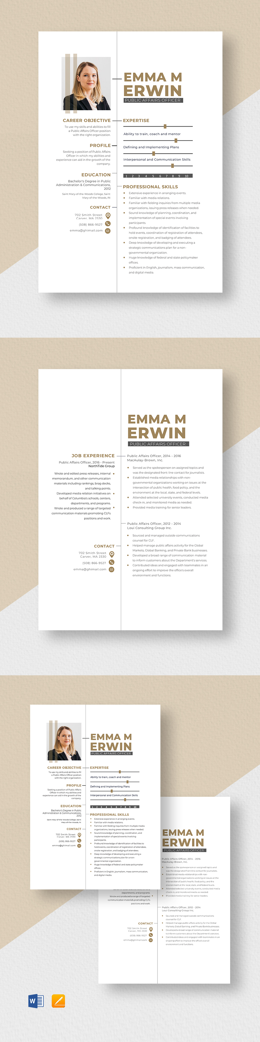 Director of Academic Affairs Resume Template - Word, Apple Pages ...