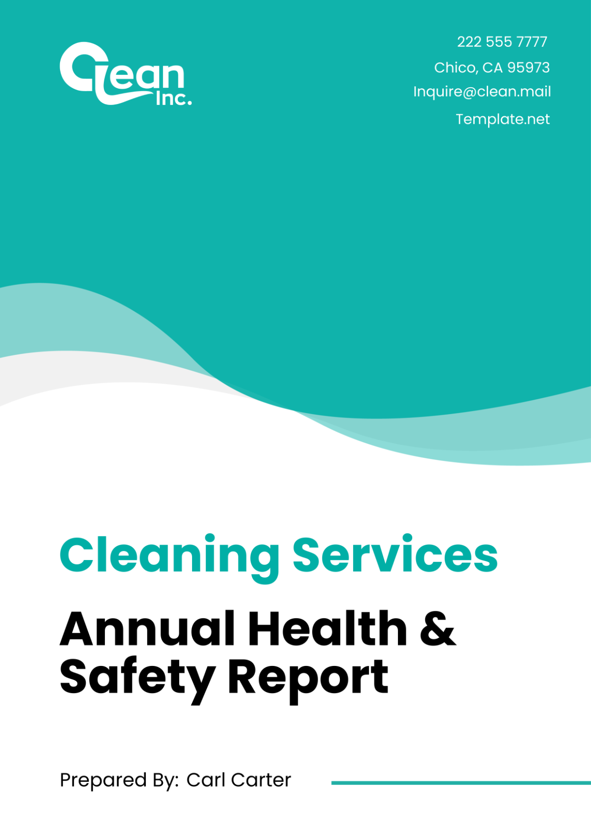 Cleaning Services Annual Health & Safety Report Template - Edit Online ...