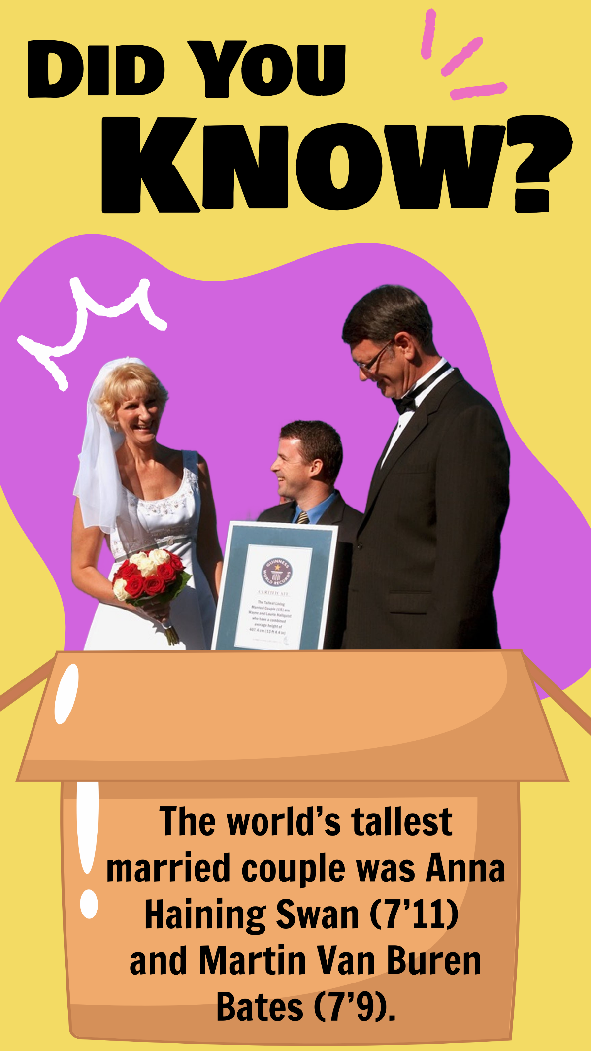 Did You Know Fun Fact Banner Template - Edit Online & Download Example ...