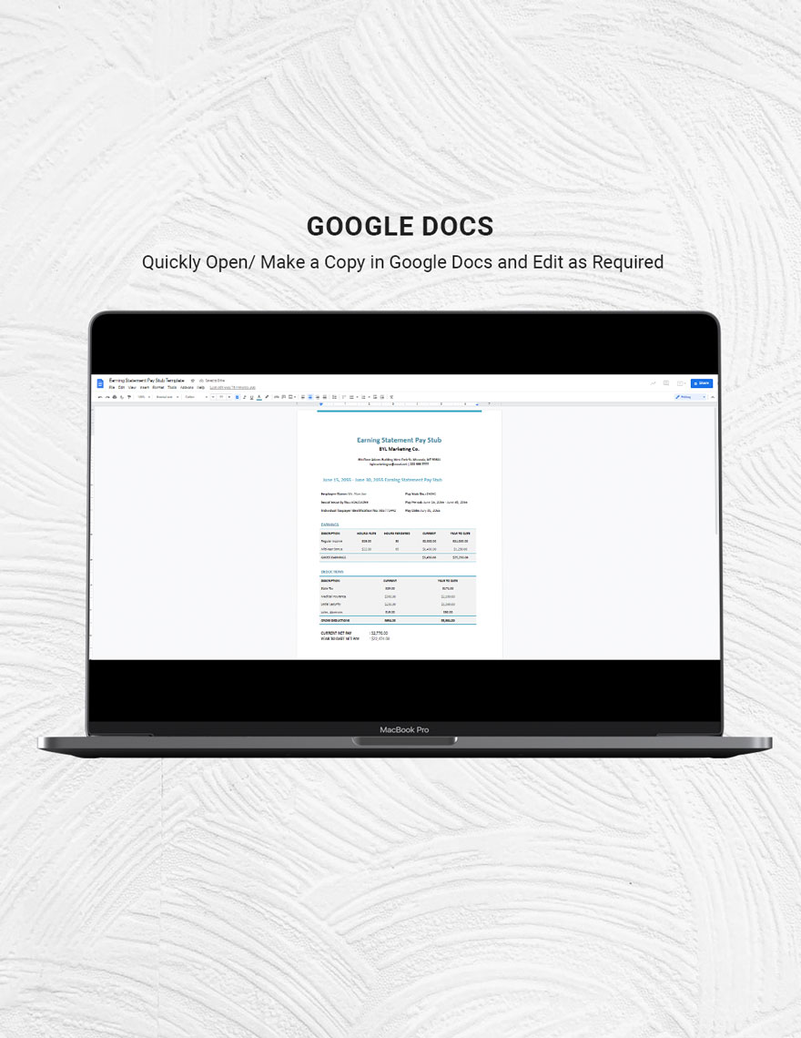 Earning Statement Pay Stub Template - Google Docs, Google Sheets, Word ...