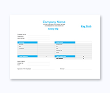 Basic Pay Stub Template in Microsoft Word, Excel | Template.net