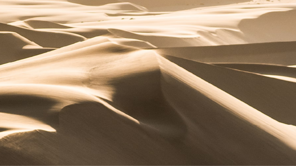 Desert Sand Texture Background - Edit Online & Download Example ...