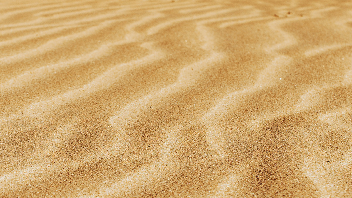 Page 189 Free Templates & Examples - Edit Online & Download