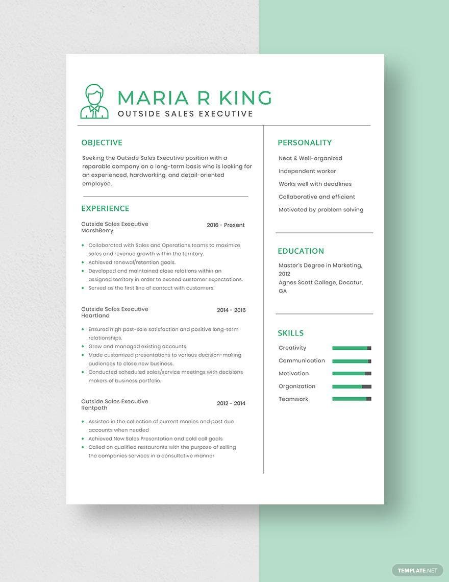Free Outside Sales Executive Resume Download In Word Apple Pages 