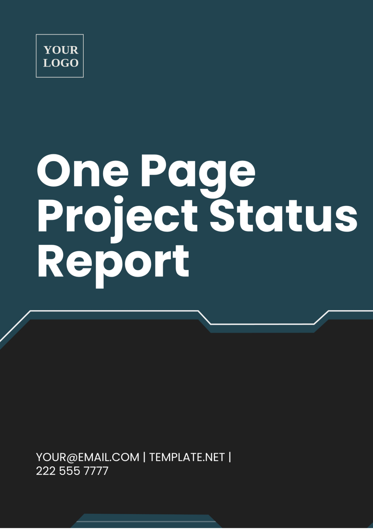 One Page Project Status Report Template - Edit Online & Download ...
