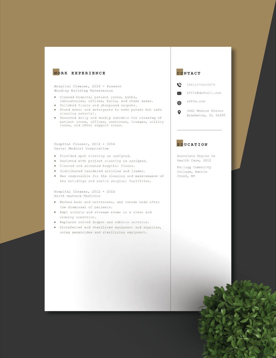 Free Hospital Cleaner Resume Download In Word Apple Pages Template