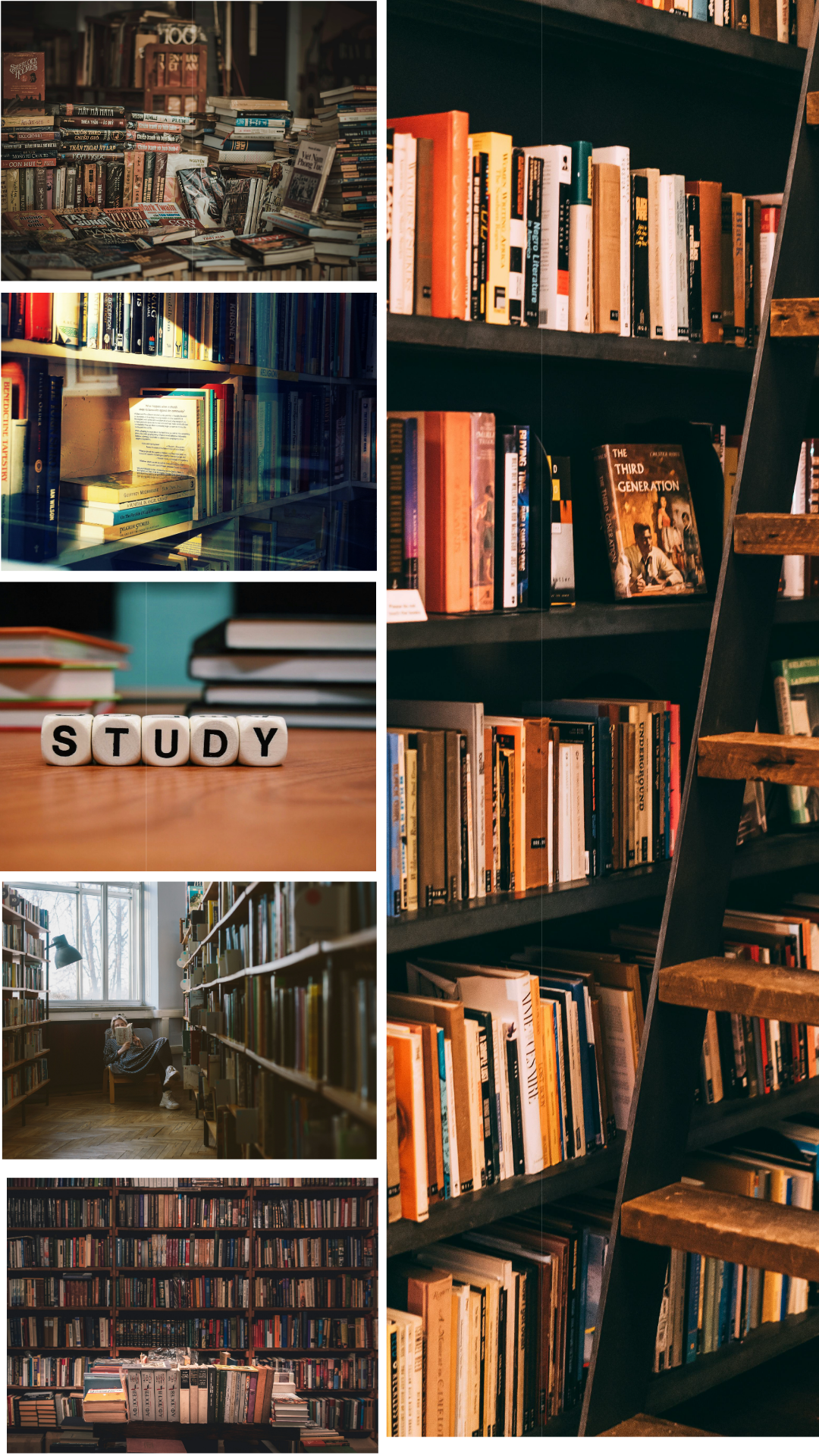 Free Book Collage Template To Edit Online