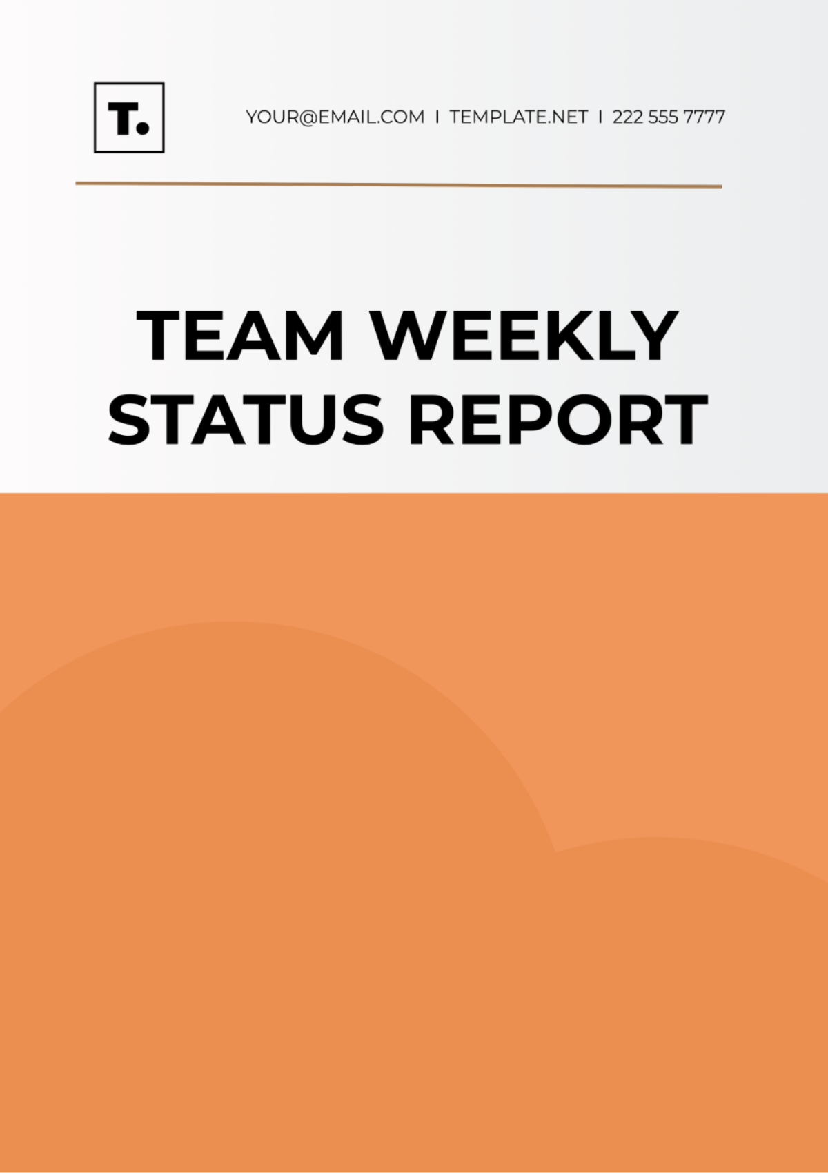 Team Weekly Status Report Template - Edit Online & Download Example ...