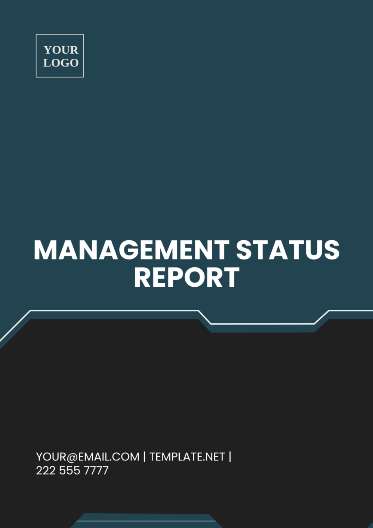 Free Management Status Report Template - Edit Online & Download ...