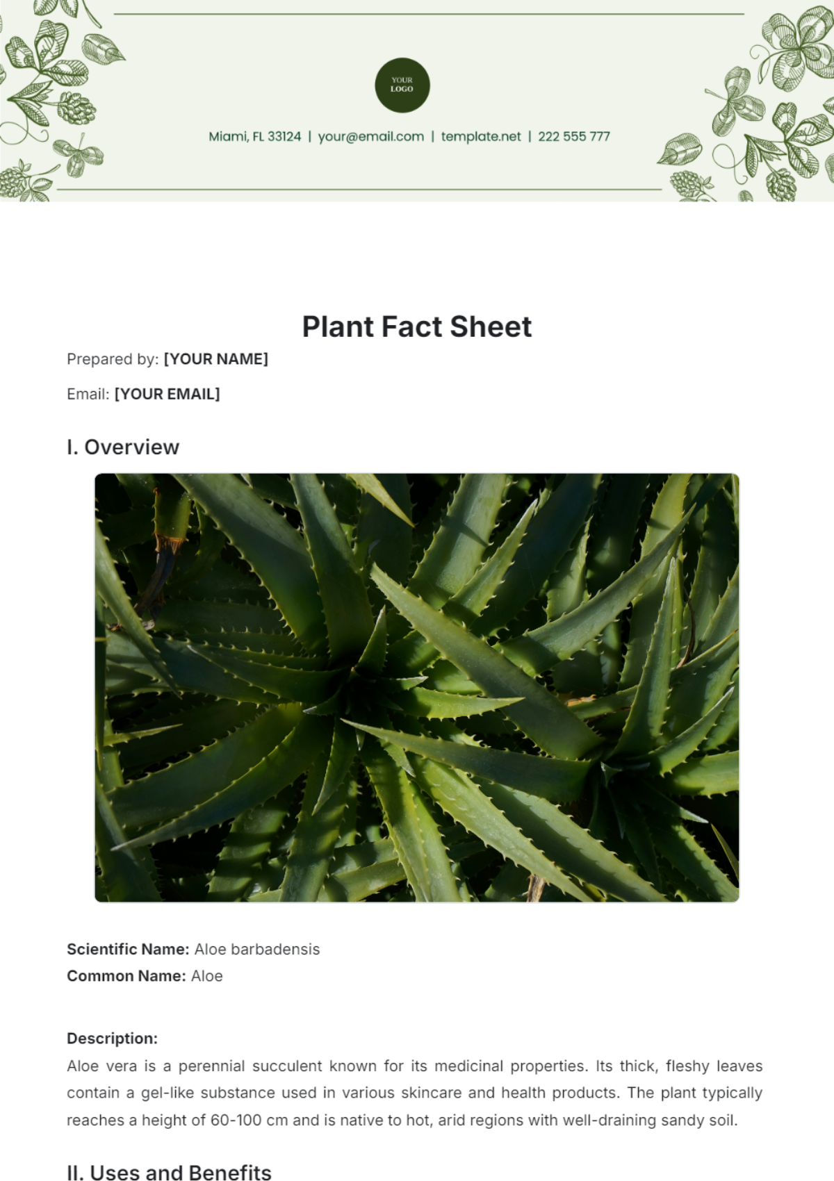 FREE Fact Sheet Templates Blank Fact Sheet Template