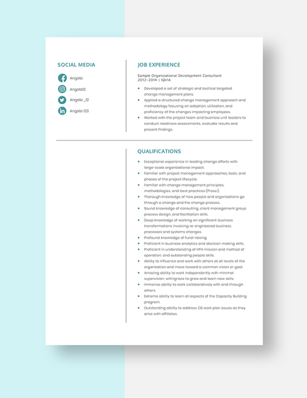 Sample Organizational Development Consultant Resume Template - Word ... Sample Organizational Development Consultant Resume Template - Word ...