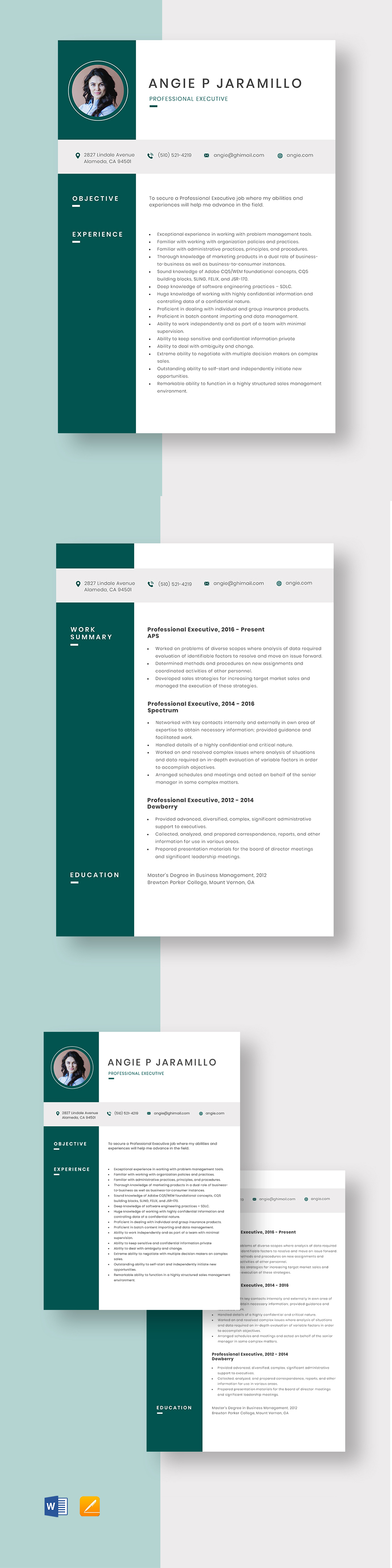 Professional Resume Template - Illustrator, InDesign, Word, Apple Pages ...