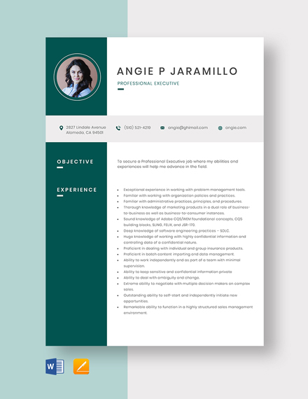 Executive Resume Template in Word - FREE Download | Template.net