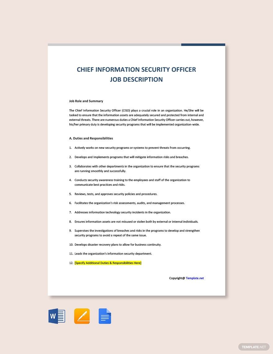 Chief Information Security Officer Job Ad And Description Template 