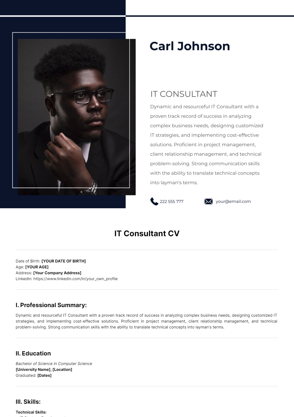 IT Consultant CV Template - Edit Online & Download Example | Template.net