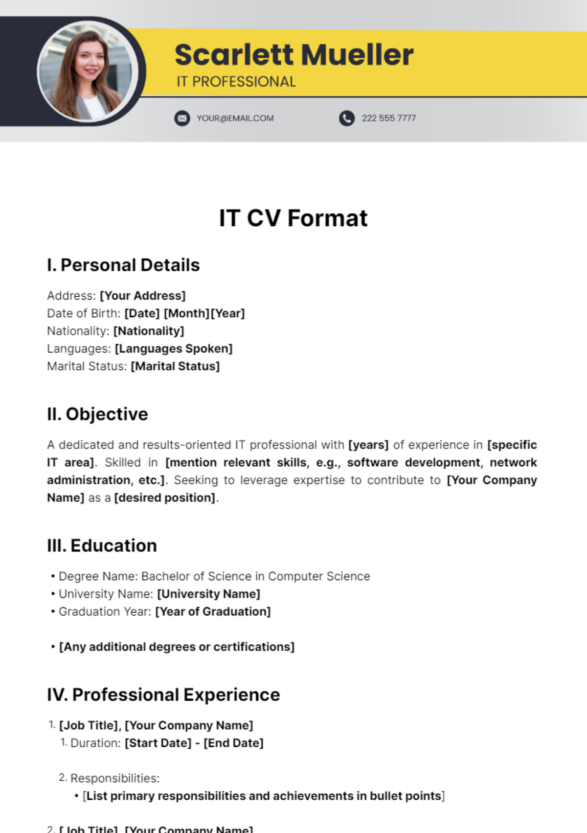 IT CV Format Template - Edit Online & Download Example | Template.net