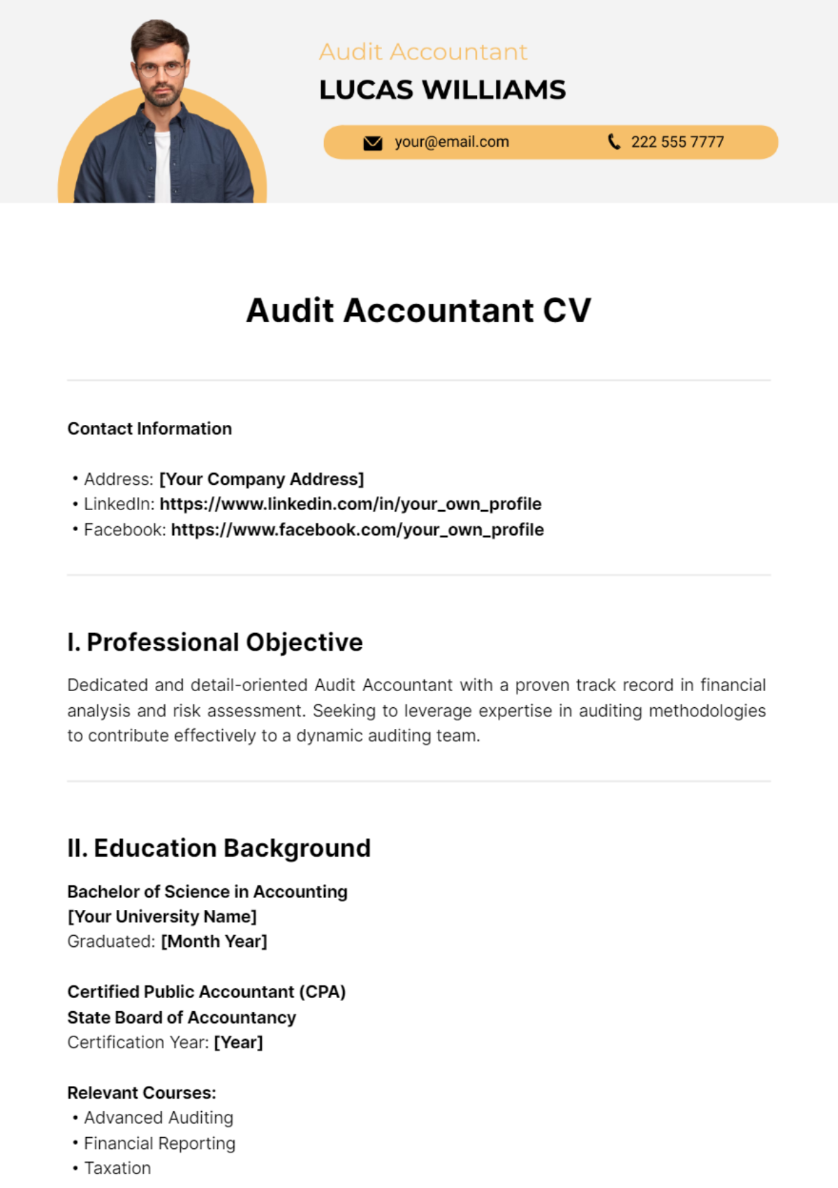 Audit Accountant CV Template - Edit Online & Download Example ...