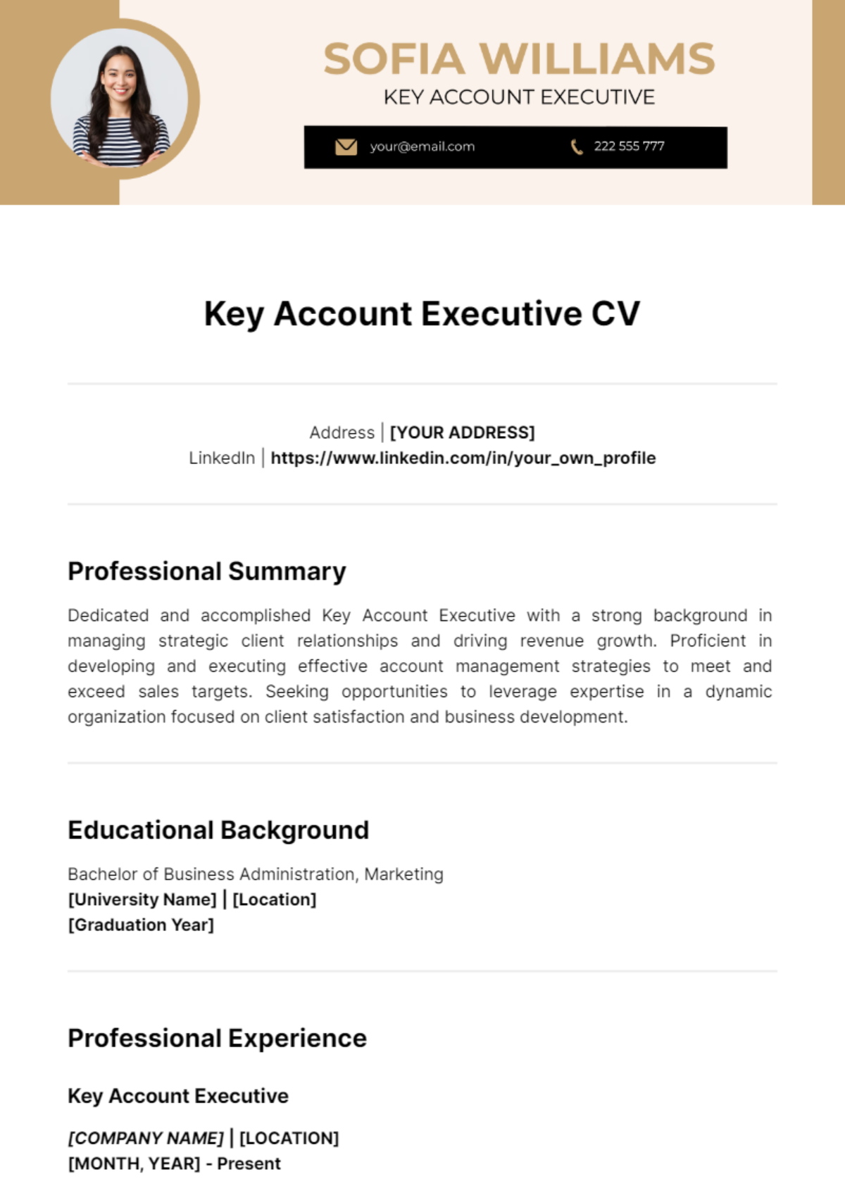 Key Account Executive CV Template - Edit Online & Download Example ...