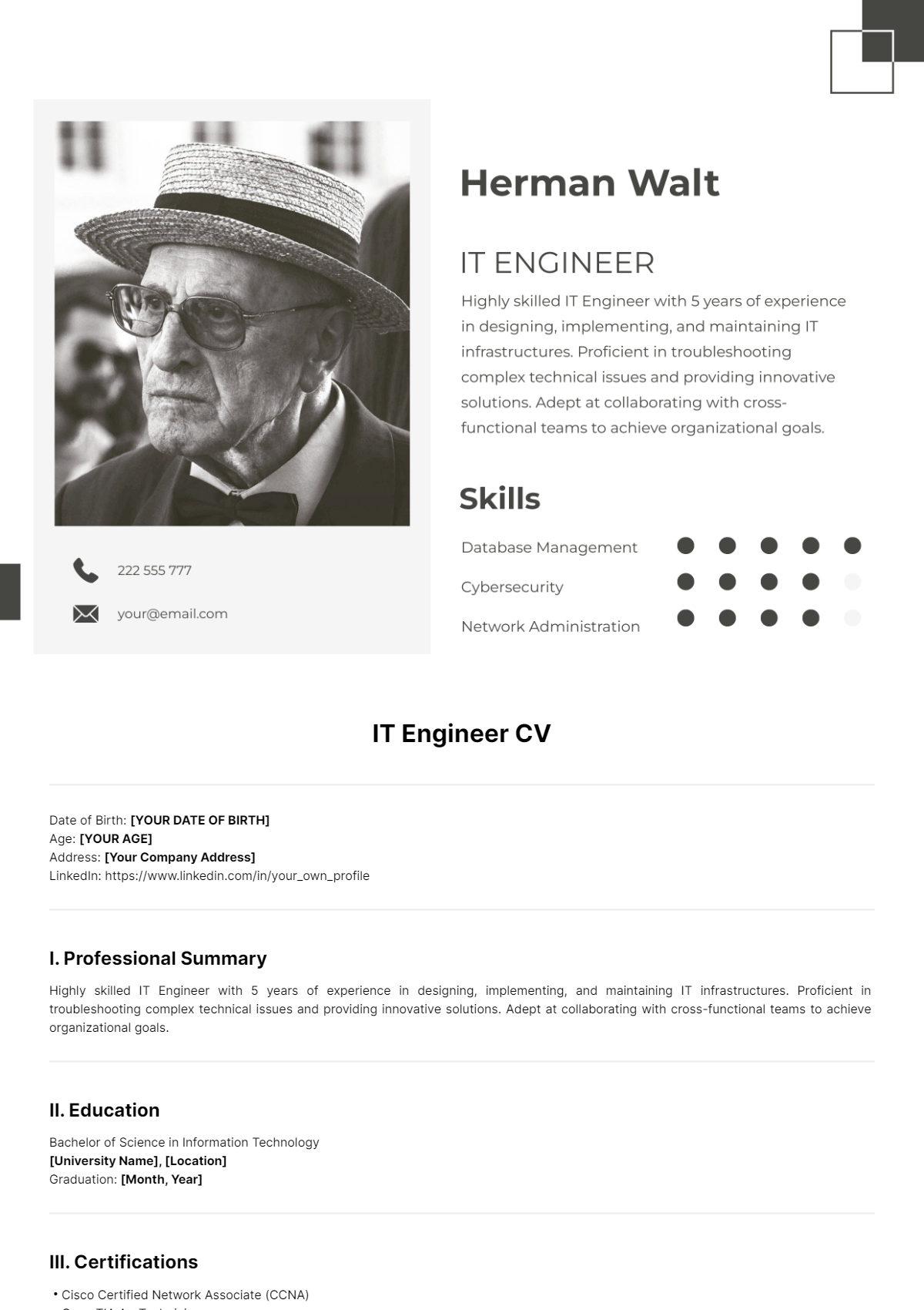 IT Engineer CV Template - Edit Online & Download Example | Template.net