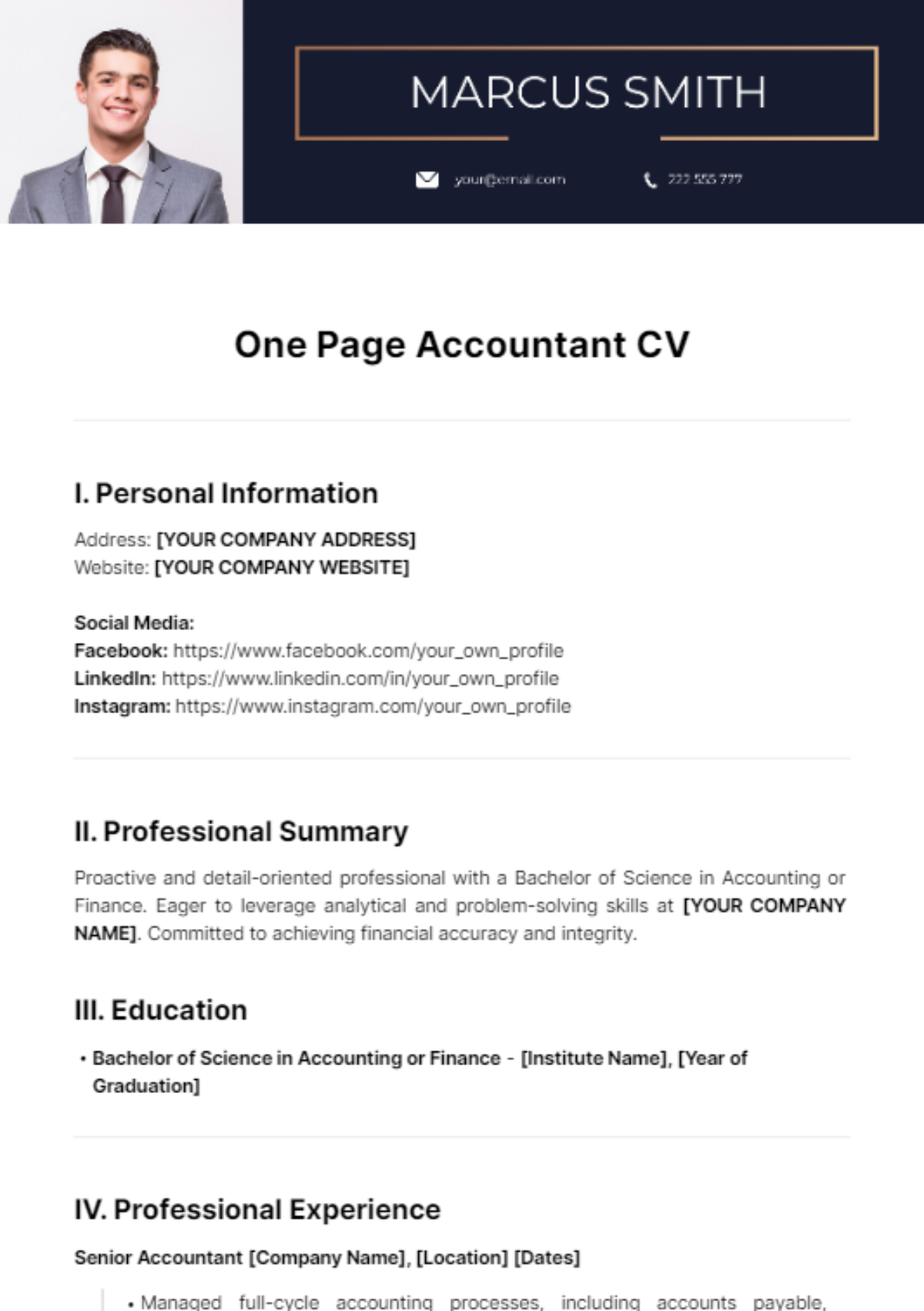 One Page Accountant CV Template - Edit Online & Download Example ...