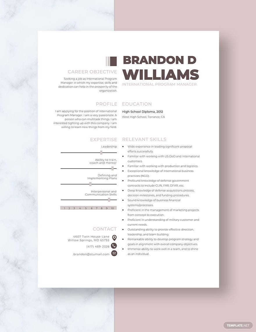 FREE Program Resume Word Template Download Template