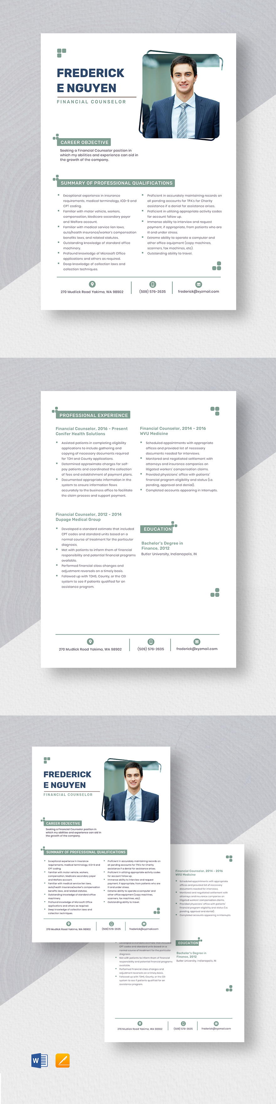 Free Financial Counselor Resume Template - Word, Apple Pages | Template.net