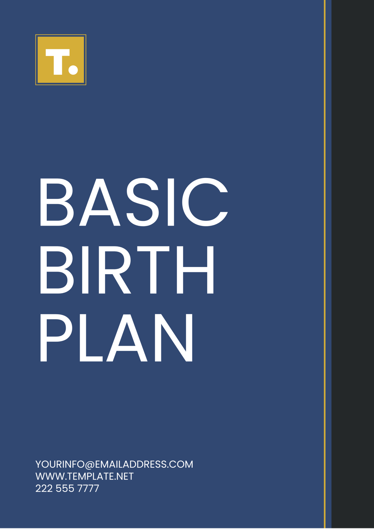 Basic Birth Plan Template - Edit Online & Download Example | Template.net