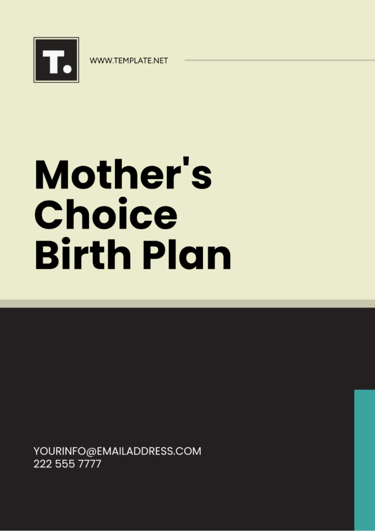 Mother's Choice Birth Plan Template - Edit Online & Download Example ...