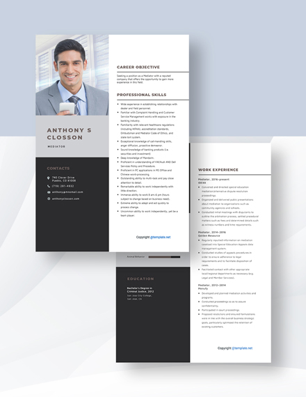 Mediator Resume Template - Google Docs, Word, Apple Pages | Template.net