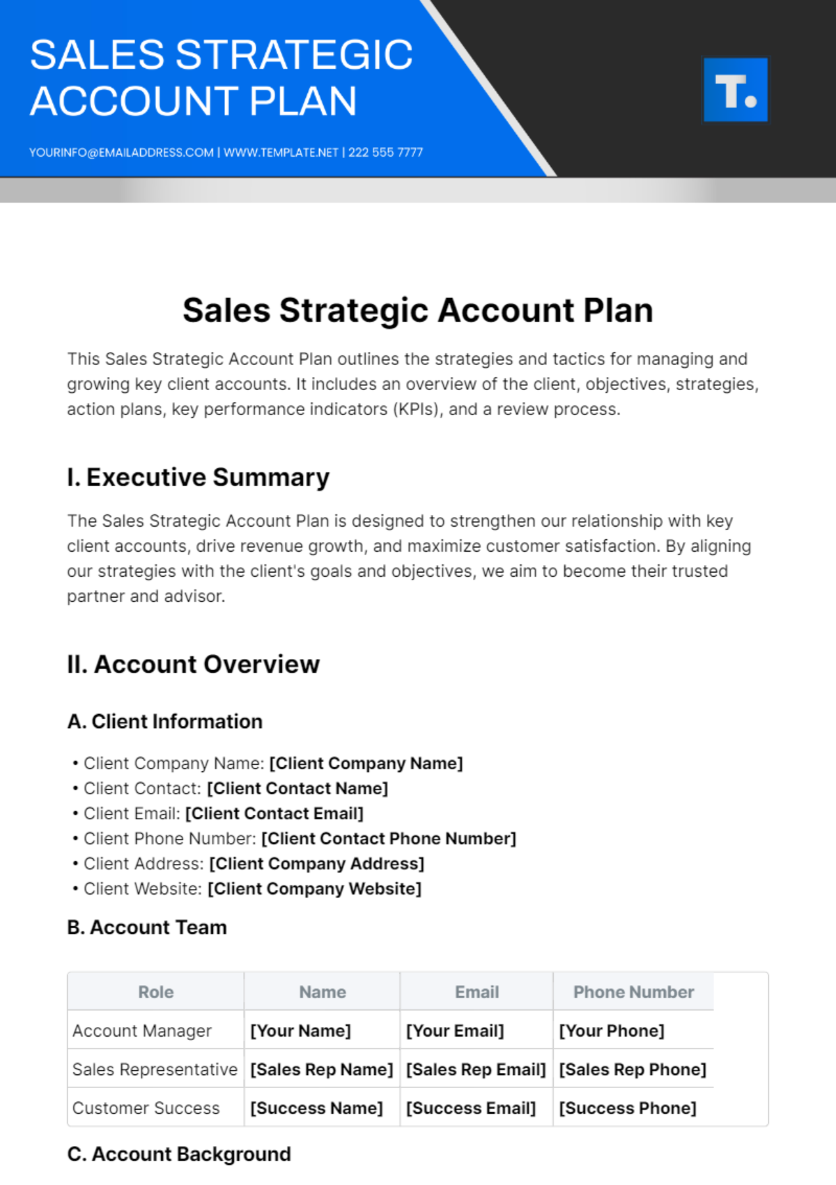 Sales Strategic Account Plan Template - Edit Online & Download Example ...